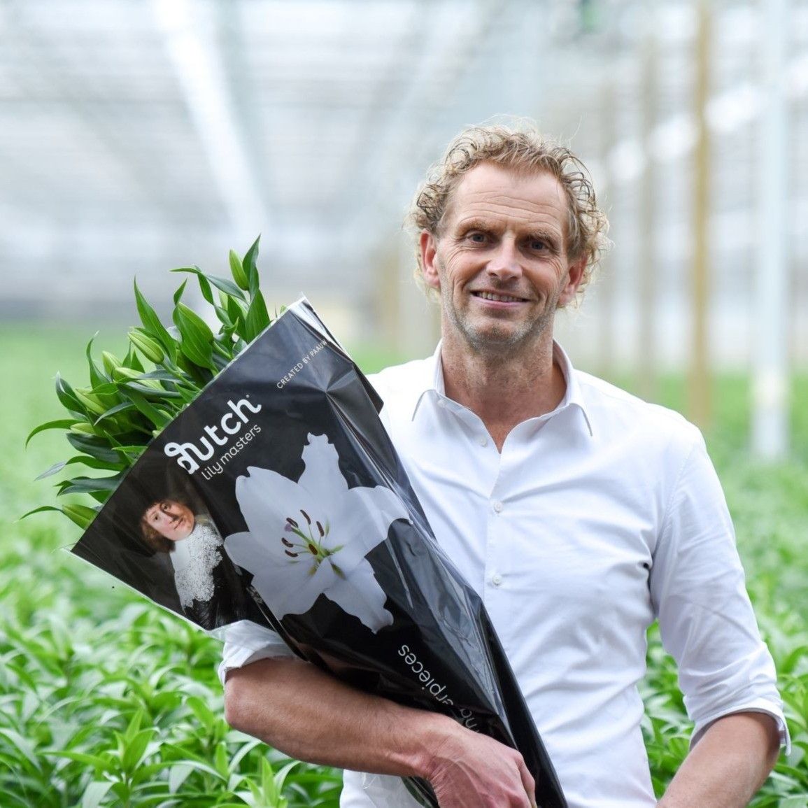 Dutch lily masters - FloraXchange