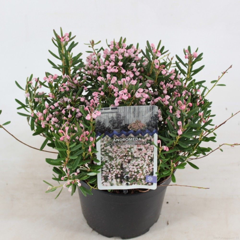 Craigmarloch nurseries. Weekly Highlights