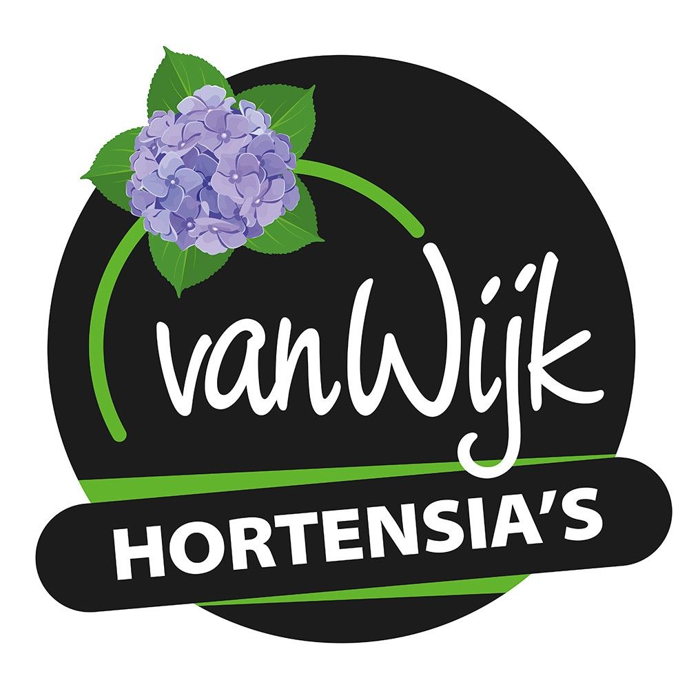 Van Wijk Rozen - FloraXchange