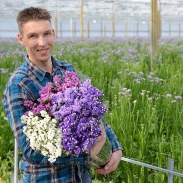 Samore - FloraXchange