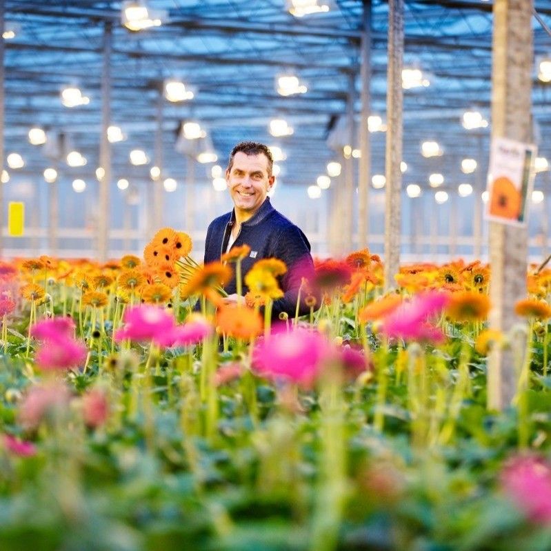 Gerja Helden BV - FloraXchange