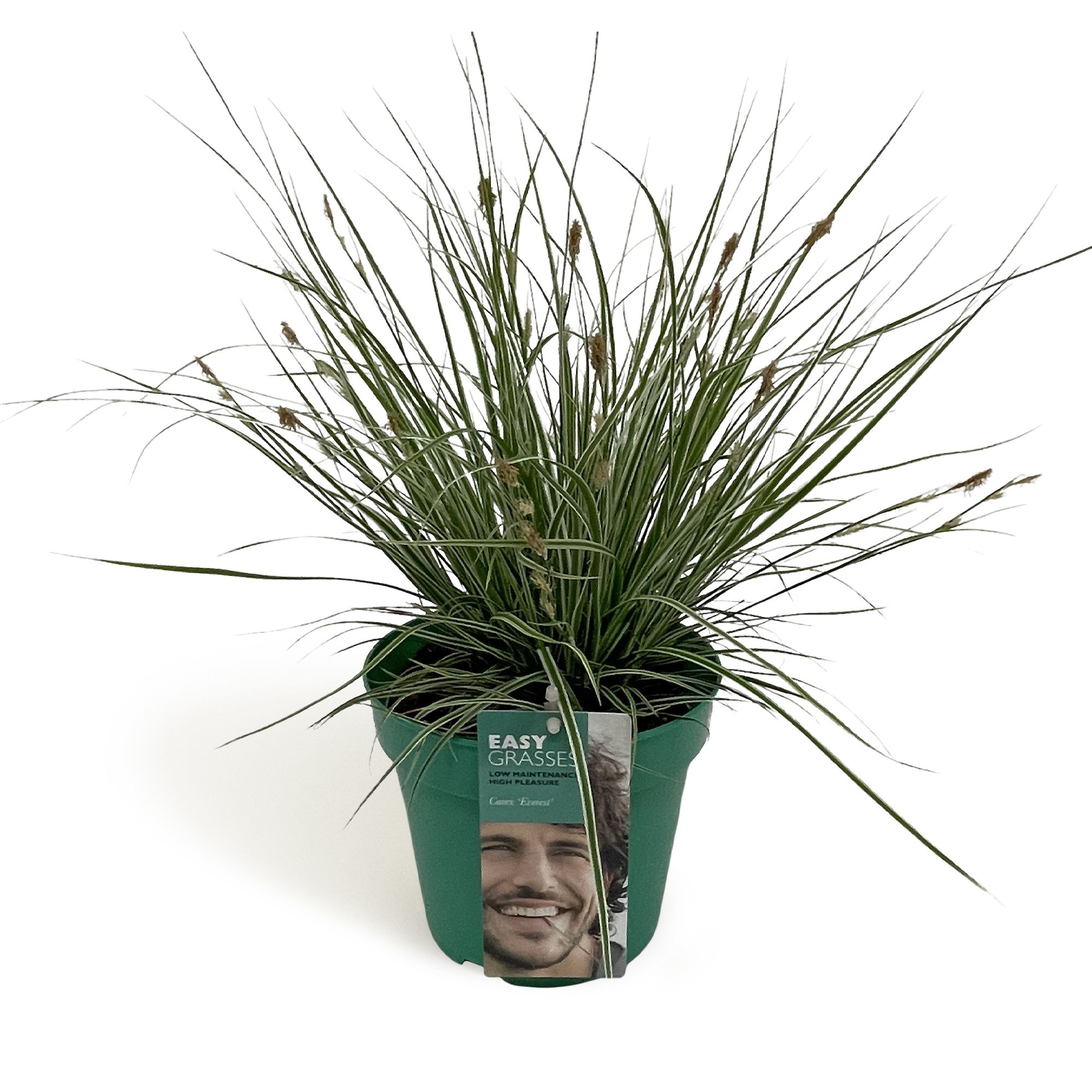 Craigmarloch nurseries. Best Sellers